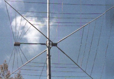 The CobWebb Antenna - IW5EDI Simone - Ham-Radio